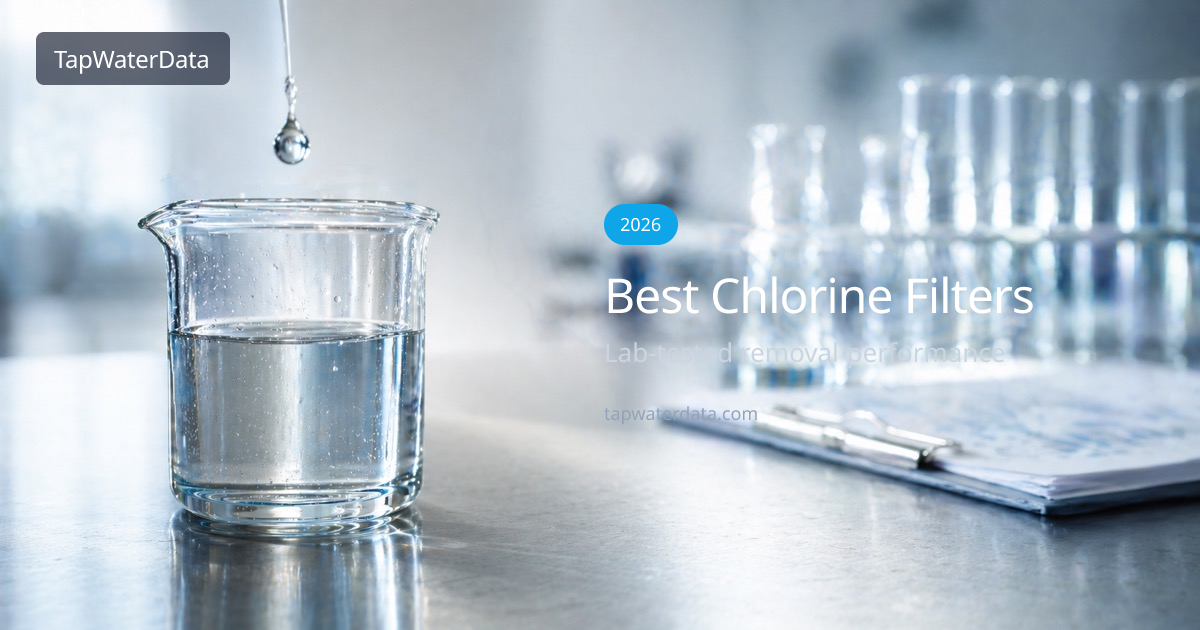 Best Water Filters for Chlorine Removal (2026) | NSF-42 Certified ...