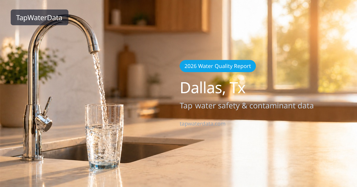 Is Dallas, TX Tap Water Safe? PFAS & Quality (2026) | TapWaterData